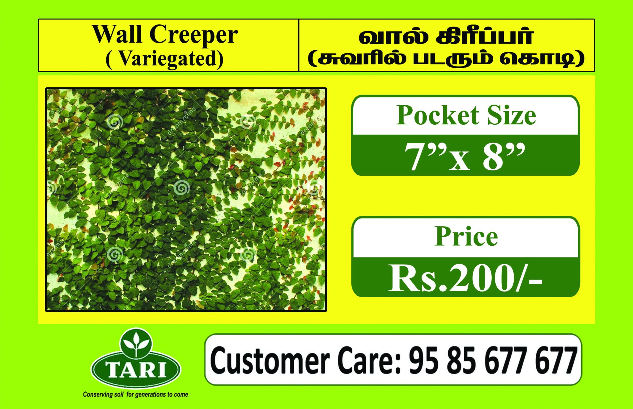 TARI Flowering Trees | Organic Farming Company, Thanjavur